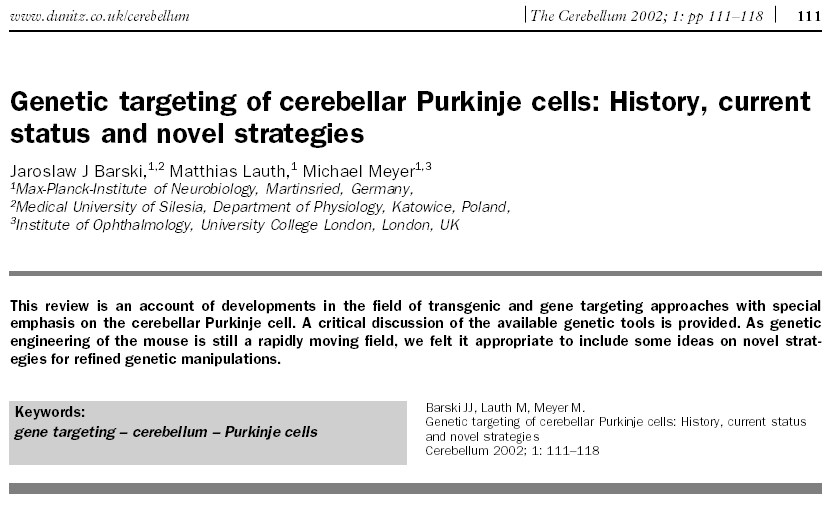FractoGene in Cerebellum: Genesis and Pathogenesis of Neural Network for Spacetime Coordination